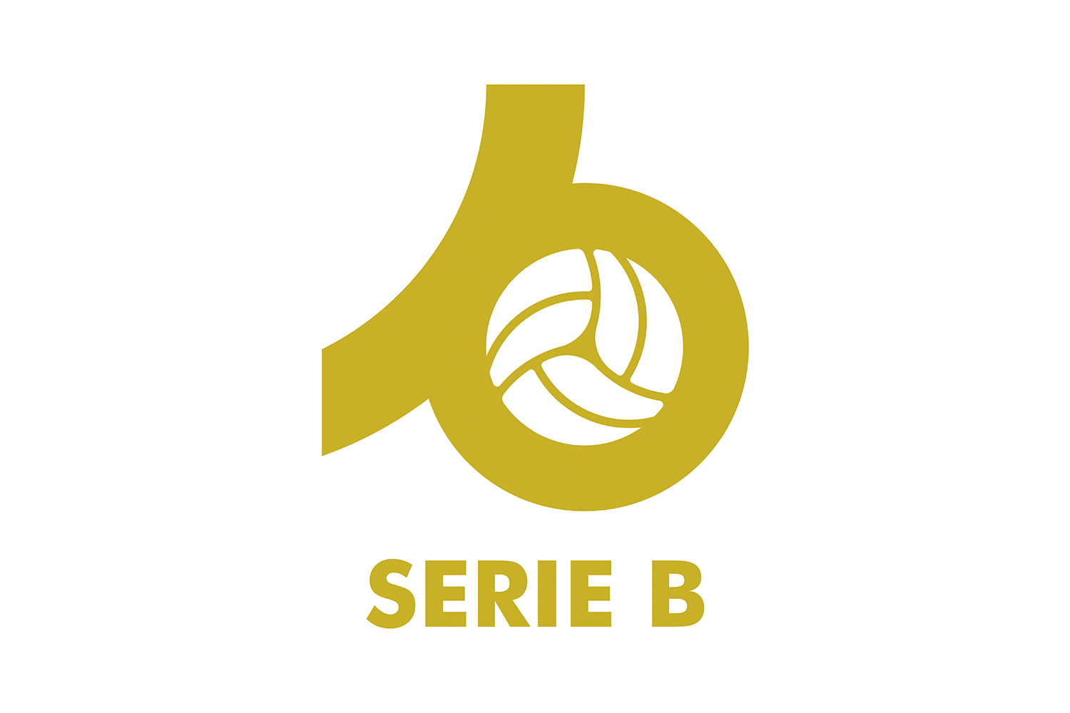 Pallavolo Coppa Italia B1F BM B2F – Definito il quadro delle semifinali ...